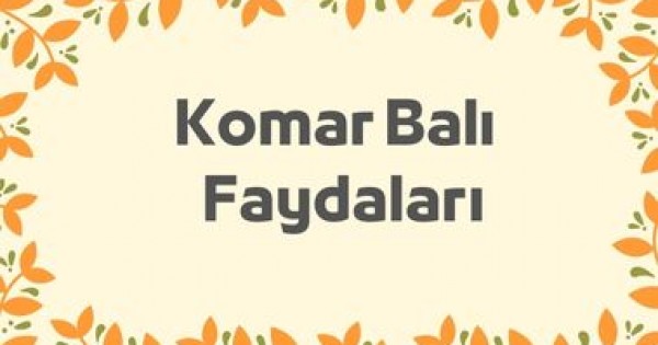 Komar Balı Faydaları - www balikibal.com